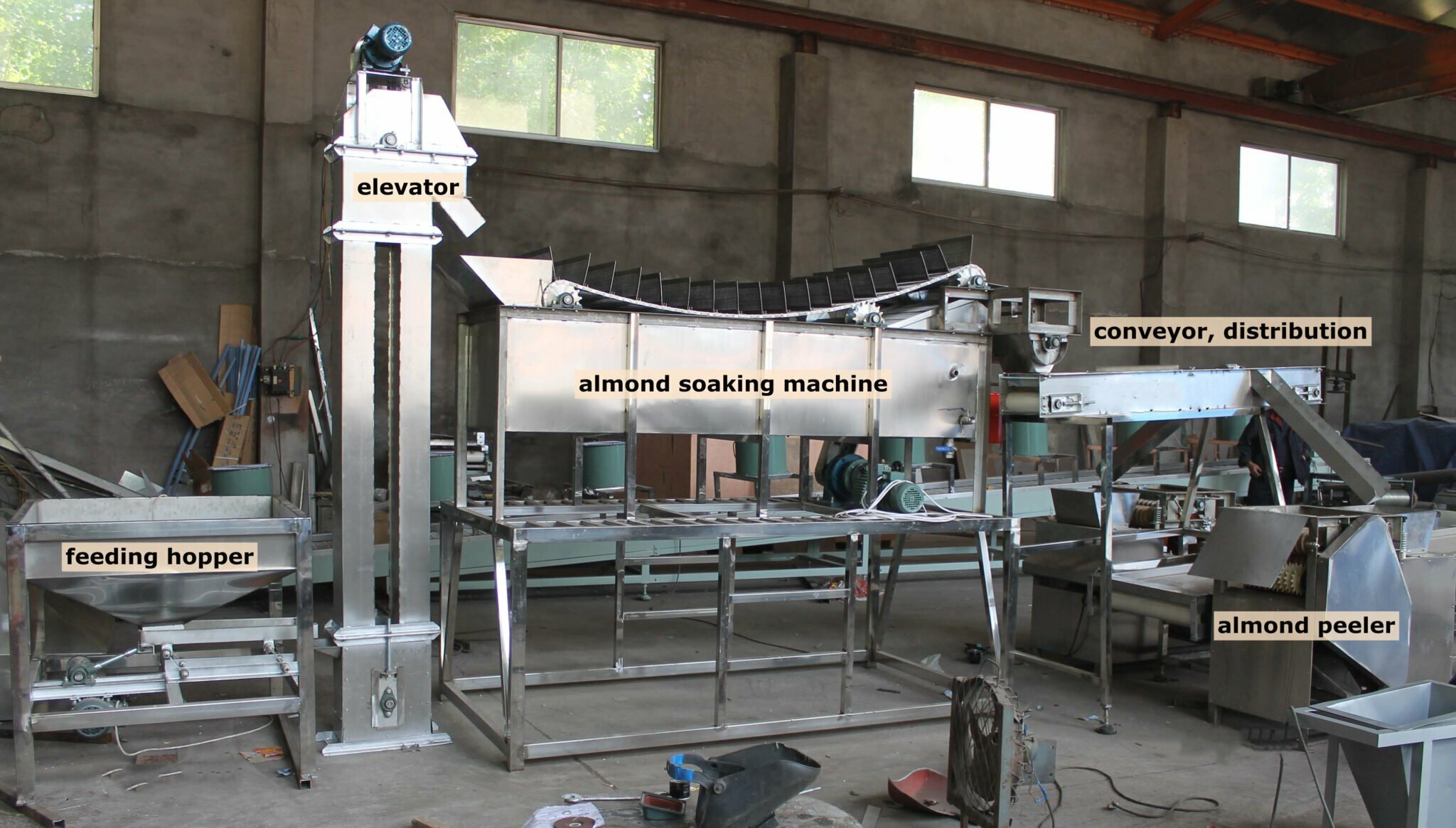 Almond Shelling Production Line | Apricot Kernel Peeling Machine