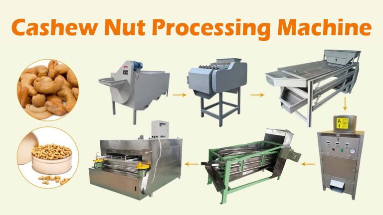 Understanding Cashew Nut Processing Machine Prices
